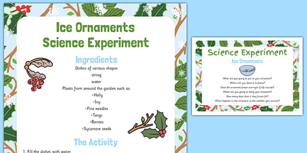Ice Ornaments Science Experiment (teacher made)