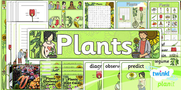 Science: Plants Year 2 Unit: Additional Resources