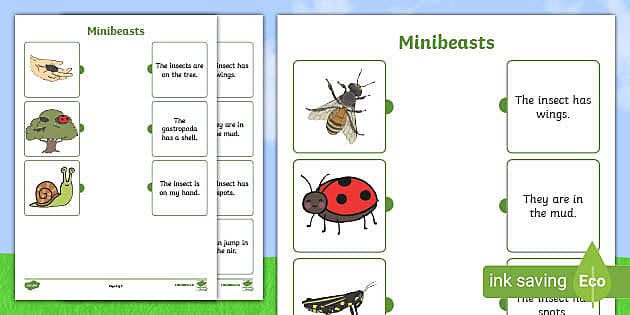 Minibeasts Matching Worksheet (Teacher-Made) - Twinkl