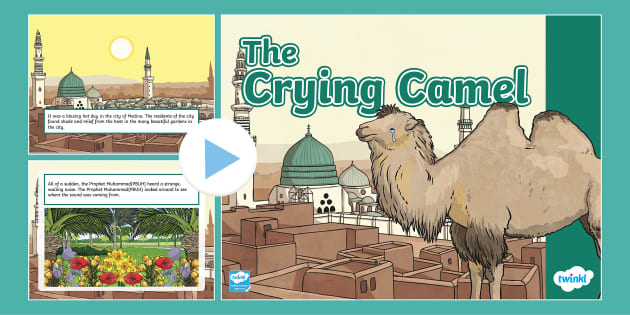 KS2 The Crying Camel PowerPoint (teacher made) - Twinkl