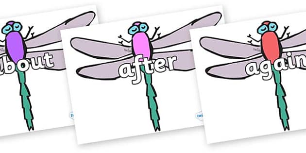 KS1 Keywords on Dragonflies (teacher made) - Twinkl