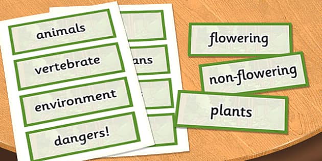 Year 4 Living Things their Habitats Scientific Vocabulary Cards