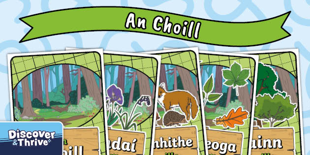 STEM (Materials) The Forest Poster (Senior Infants) Gaeilge