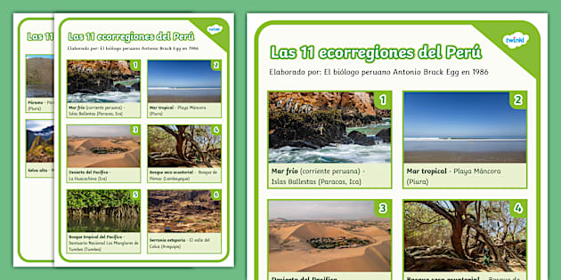 Lámina de las 11 ecorregiones del Perú - Twinkl