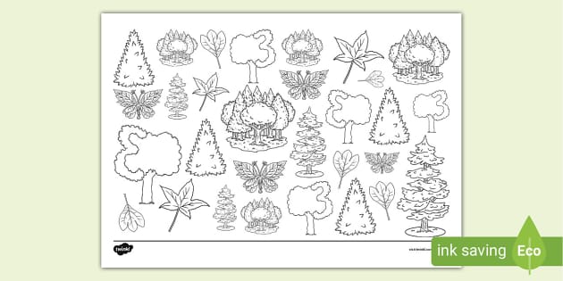 Forest Doodle Colouring Page (teacher made) - Twinkl