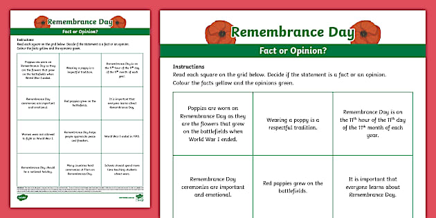 Remembrance Day Fact or Opinion? Worksheet (teacher made)