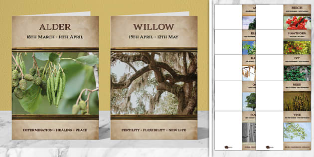 Celtic Tree Calendar Birthday Cards | Twinkl Party - Twinkl