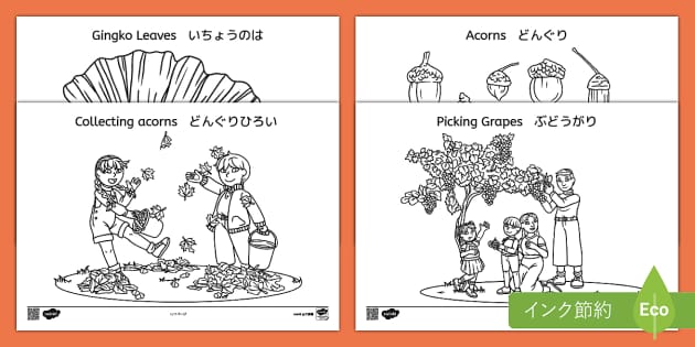 秋のぬりえ Twinkl Japan (profesor hizo) - Twinkl