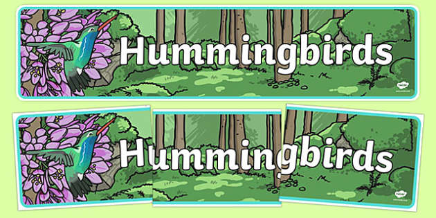 Hummingbirds Display Banner (Hecho por educadores) - Twinkl