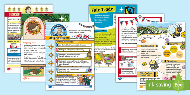 KS1 May Differentiated Reading Comprehension Activity Pack