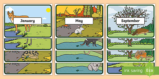 Australian Animals Months of the Year and Seasons Display Posters