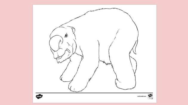Diprotodon Colouring Sheet | Colouring Sheets (Teacher-Made)