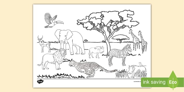 Savannah Habitat Colouring Page (teacher made) - Twinkl
