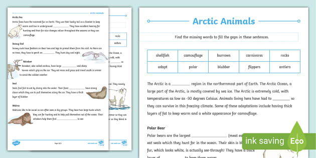 Arctic Animals Word Cloze Activity (teacher made) - Twinkl
