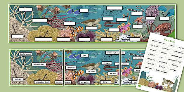 Coral Reef Label Activity