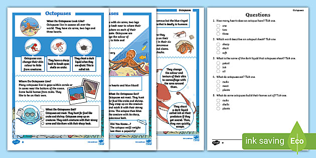 Octopus Differentiated Reading Comprehension Ages 5-7
