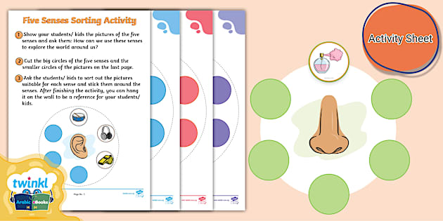 Five Senses Sorting Activity Sheet
