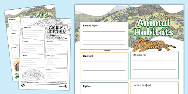 Animal Habitats Fact File Template (creat de profesori)