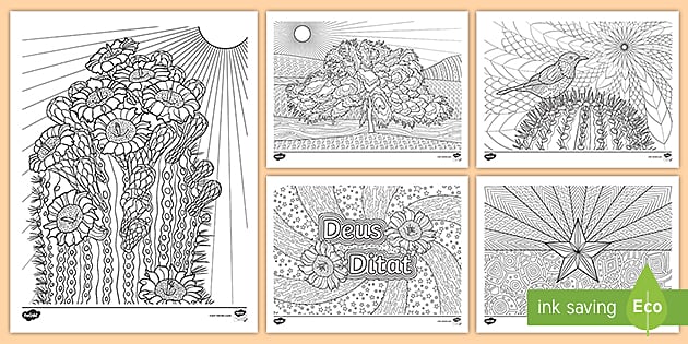 Arizona State Symbols Mindfulness Coloring Sheets - Twinkl
