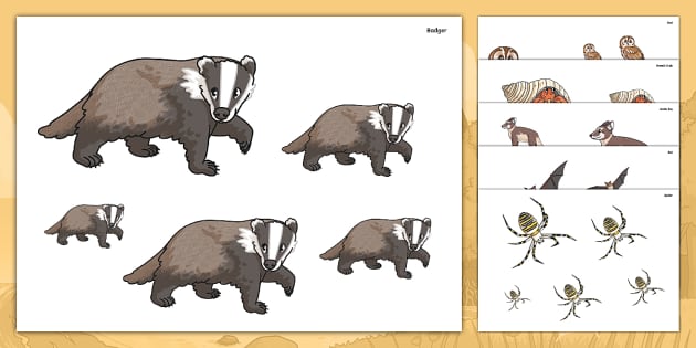 👉 Wild Animals Size Ordering (teacher made) - Twinkl