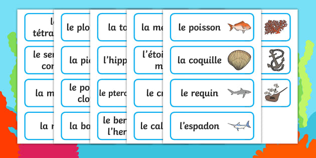 Cartes de vocabulaire : Sous l'océan (teacher made)