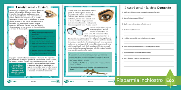 Gli organi di senso scuola primaria (teacher made)