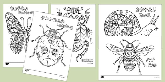 summer insects coloring pages
