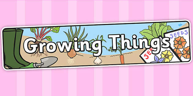 Growing Things Themed Banner (teacher made) - Twinkl