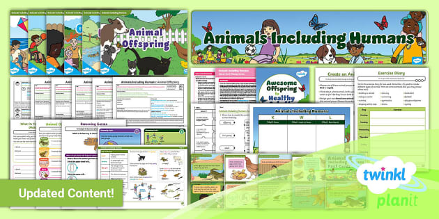 Science: Animals Including Humans Year 2 Unit Pack - Twinkl
