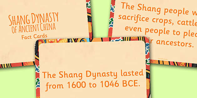 The Shang Dynasty of Ancient China Display Fact Cards - China