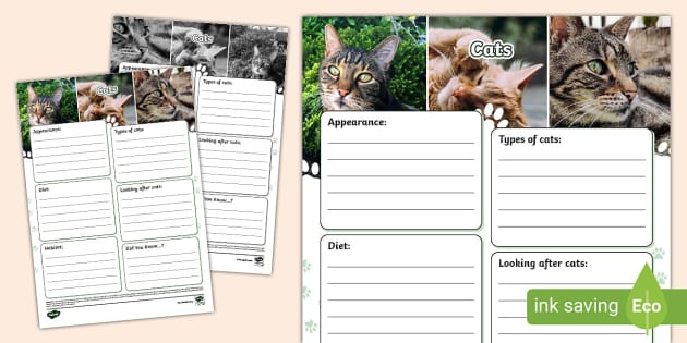 Cats Fact File Template (Teacher-Made) - Twinkl