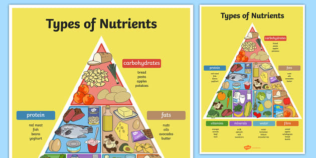 Types Of Nutrients Pyramid Poster teacher Made types-of-nutrients-pyramid-poster-teacher-made