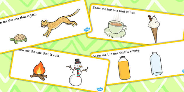 'Show Me the...' Basic Concept Cards Activity (teacher made)