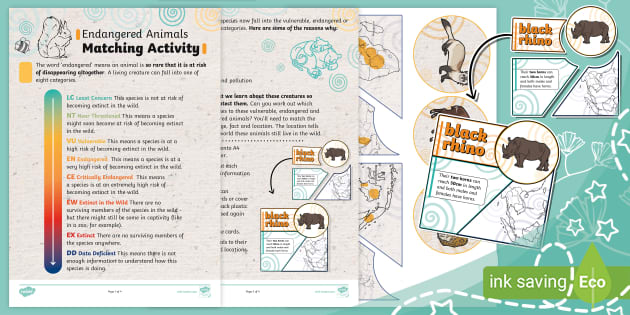 Endangered Animals Matching Activity (Ages 5 - 7) - Twinkl