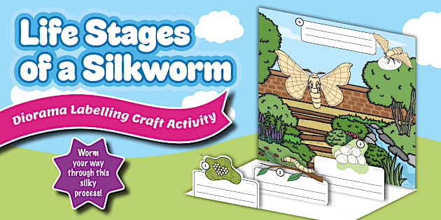 Life Stages of a Silkworm Diorama Labelling Craft Activity