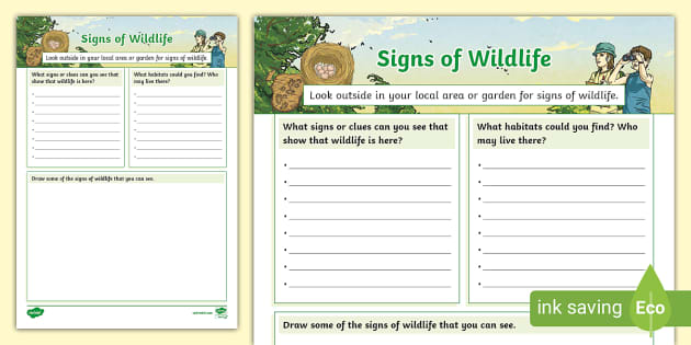 Garden Wildlife Week Recording Sheet (teacher made) - Twinkl
