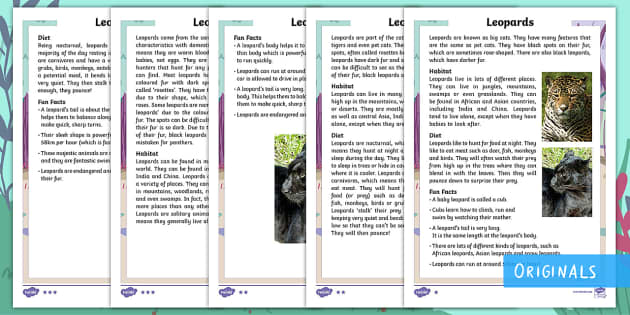 Leopards Differentiated Fact File