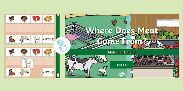 Meat Interactive Matching Game (teacher made) - Twinkl Meat Interactive Matching Game (teacher made) - Twinkl