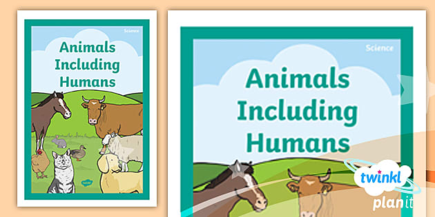 Science: Animals Including Humans Year 2 Unit Book Cover