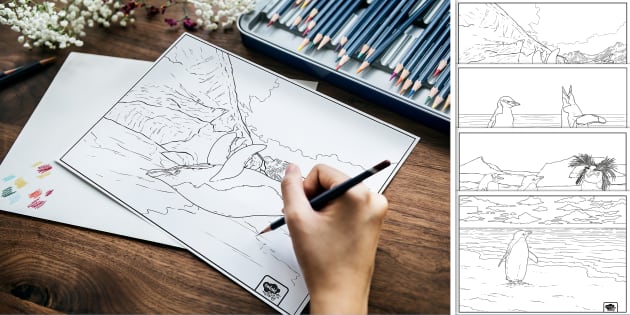 Penguin Colouring Sheet | Twinkl Party (profesor hizo)