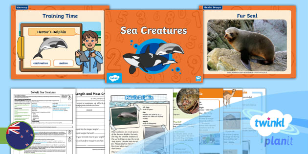 Level 2 Measurement Solveit: Sea Creatures - Twinkl