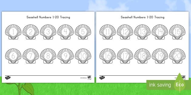 Seashell Numbers 1-20 Tracing Worksheet / Worksheet