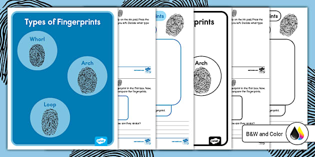 * NEW * First Grade All About Fingerprints Activity - Twinkl