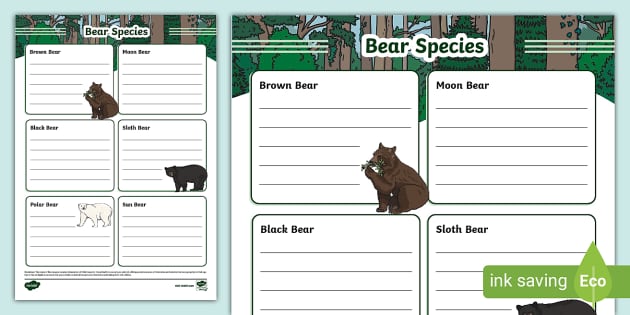 Bear Species Fact File Template (teacher made) - Twinkl