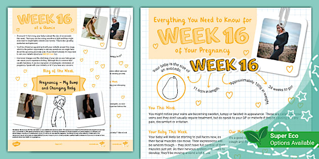 Everything You Need to Know for Week 16 of Your Pregnancy