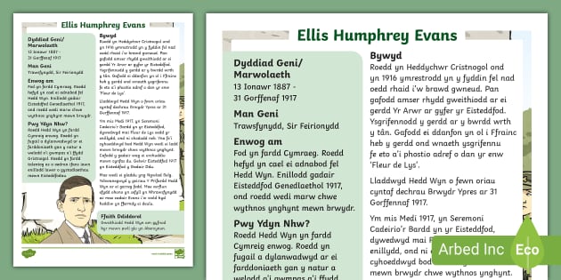 Ffeil Ffeithiau Hedd Wyn (teacher made) - Twinkl