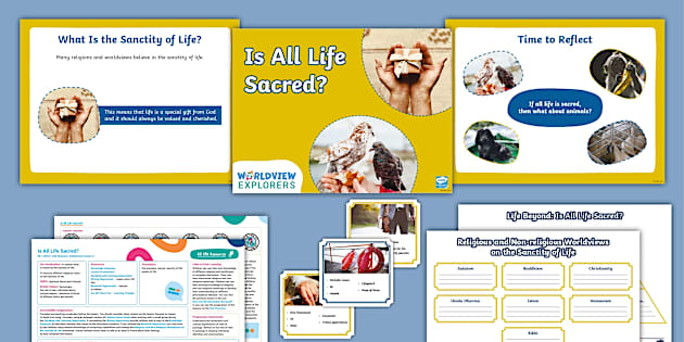 Is All Life Sacred? (Hecho por educadores) - Twinkl