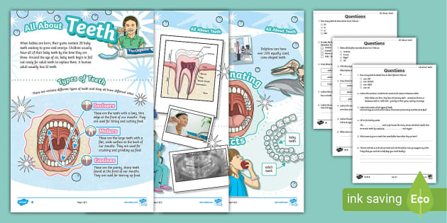LKS2 All About Teeth Differentiated Reading Comprehension