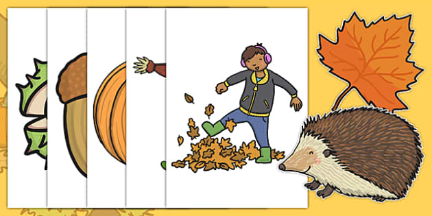 Autumn Display Cut-Outs (teacher made) - Twinkl