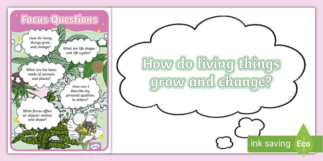 Life Changes Yr 1 IU Focus Questions Display Posters